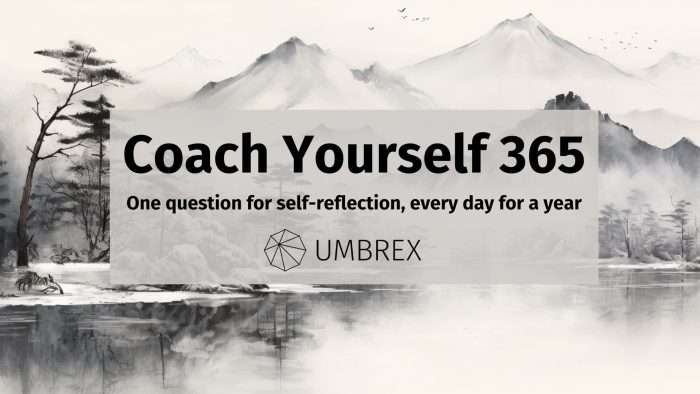 Coach Yourself 365: One Year of Daily Questions | Umbrex